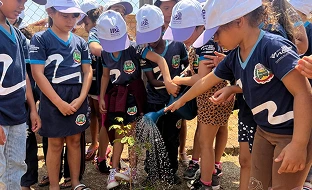 Programas de Sustentabilidade e Meio Ambiente | Mineração Morro do Ipê