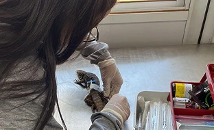 Programas de Sustentabilidade e Meio Ambiente | Mineração Morro do Ipê